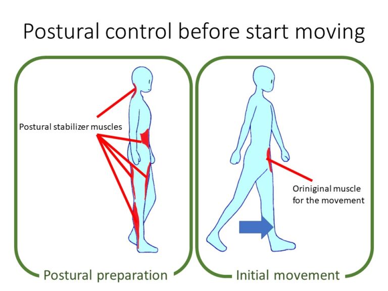 Rehabilitation | Rehabilitation Plus